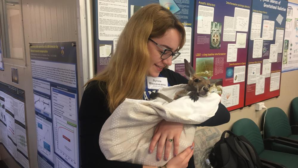 Fellowship Features: Alumna focuses on gravitational wave research in Melbourne | Penn State ...